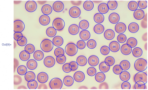 How to Count Cells, Annihilate Sailboats, and Warp the Mona Lisa ...