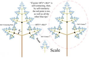 Adventures into the Mathematical Forest of Fractal Trees—Wolfram Blog