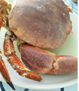 Computational Stippling: Can Machines Do as Well as Humans?—Wolfram Blog