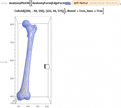 Visualizing Anatomy—Wolfram Blog