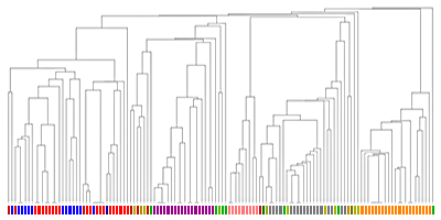 Florida Spring Break 2021: February COVID-19 Data Forecasts the March ...