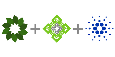 Liveminting NFTs with the Wolfram Language on the Cardano Blockchain—Wolfram Blog