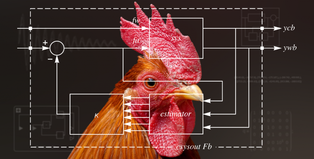 What Does Hollywood Have to Do with the Chicken Head?