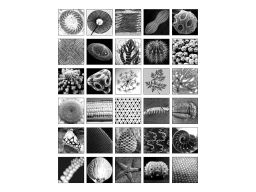 Introduction to A New Kind of Science