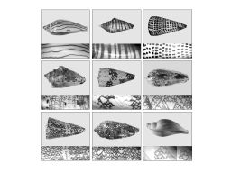 Introduction to A New Kind of Science