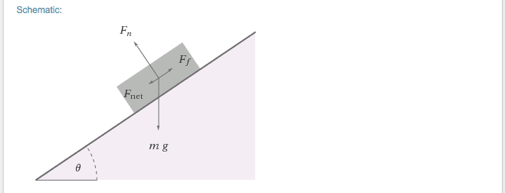 The Physics of da Vinci and Euler—Wolfram|Alpha Blog