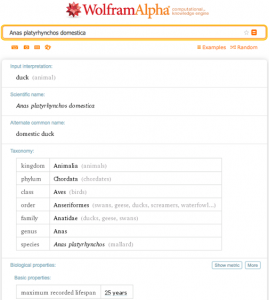 Celebrate Donald Duck’s 80th Birthday with Wolfram|Alpha—Wolfram|Alpha Blog