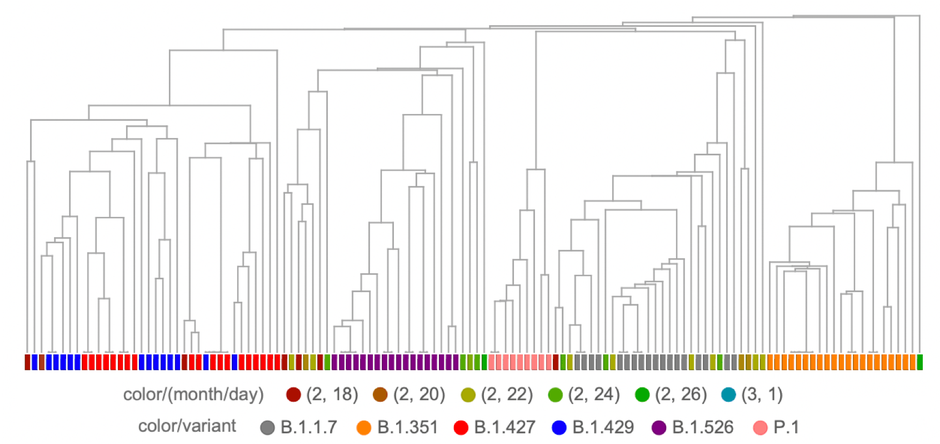Florida Spring Break 2021: February COVID-19 Data Forecasts the March ...
