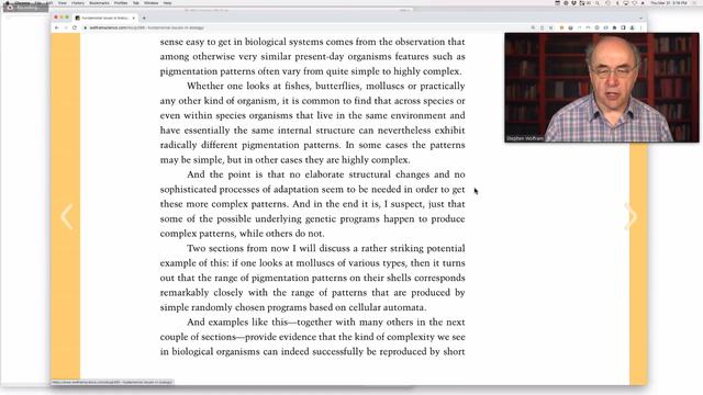 Stephen Wolfram Livestreams