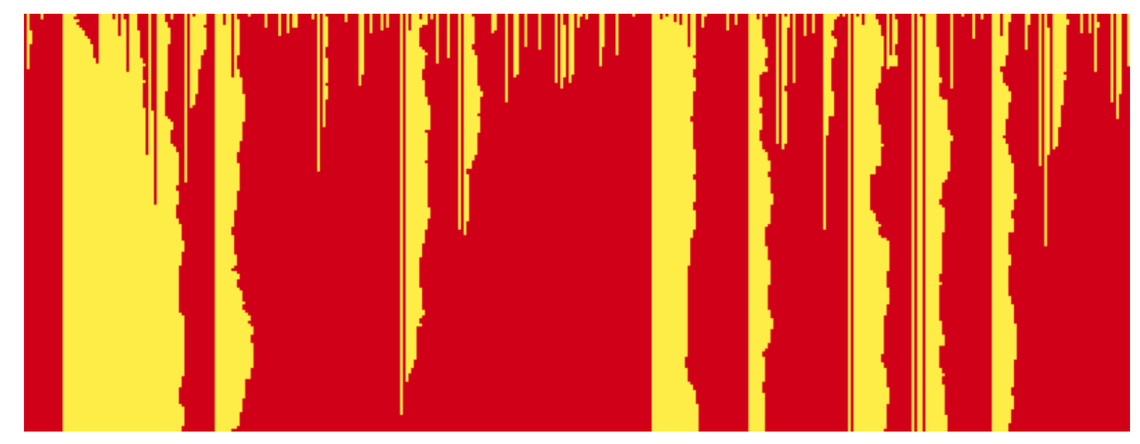 The Problem of Distributed Consensus—Stephen Wolfram Writings