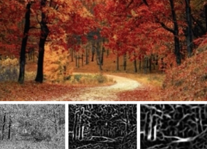 Wolfram U: Learning Resources for the Computational Universe